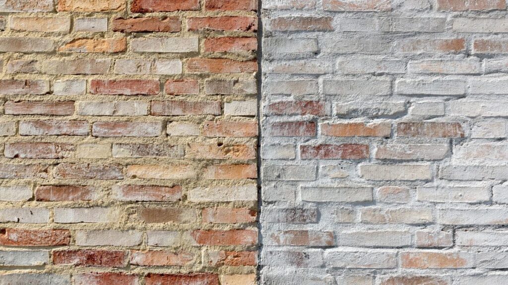 Chipperen | What You Need to Know - Familyfuncenterxl