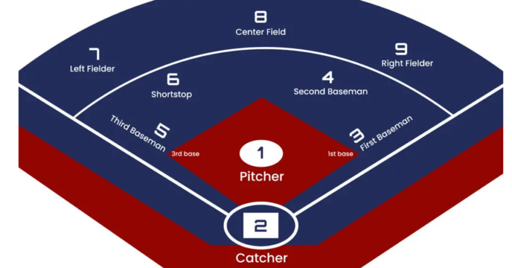 softball positions dichotomous key: Identifying Infield Positions ...